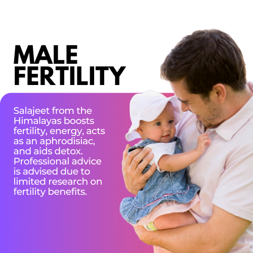 Shilajit 30g – Chitral House