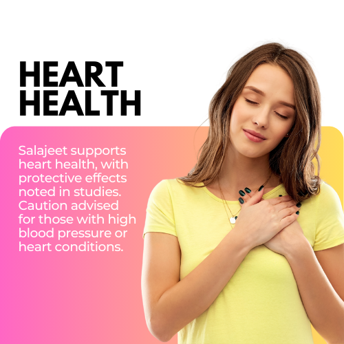 Shilajit 30g – Chitral House