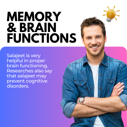 Shilajit 30g – Chitral House