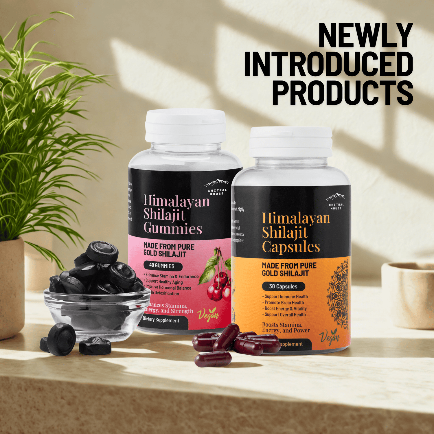 Buy Pure Shilajit – 100% Natural Salajeet | Chitral House