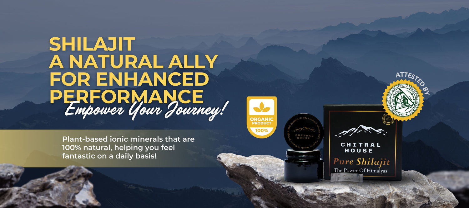 Buy Pure Shilajit – 100% Natural Salajeet | Chitral House